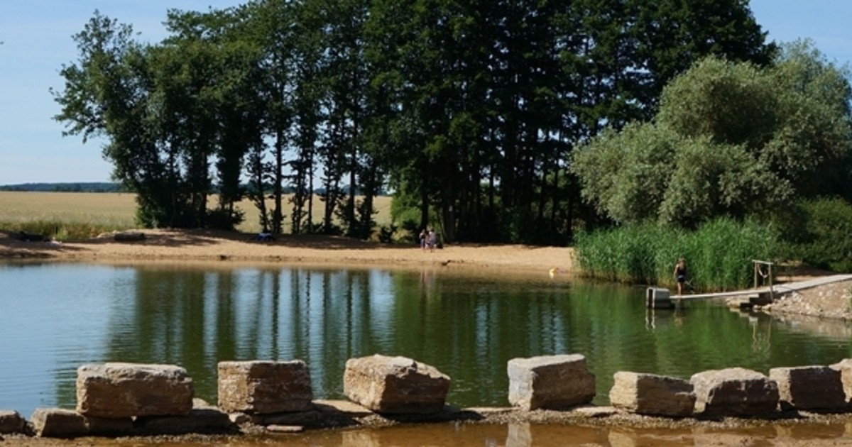 Badesee Frensdorf: Wasserproben zeigen Noro-Viren und Blaualgen | tvo.de Badesee Frensdorf: Wasserproben zeigen Noro-Viren und Blaualgen | tvo.de