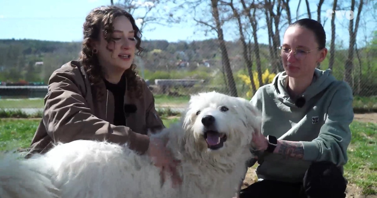 Ein Freund für Dich: Die beiden „Eisbären“ Dana und Zoey haben das Herz ...